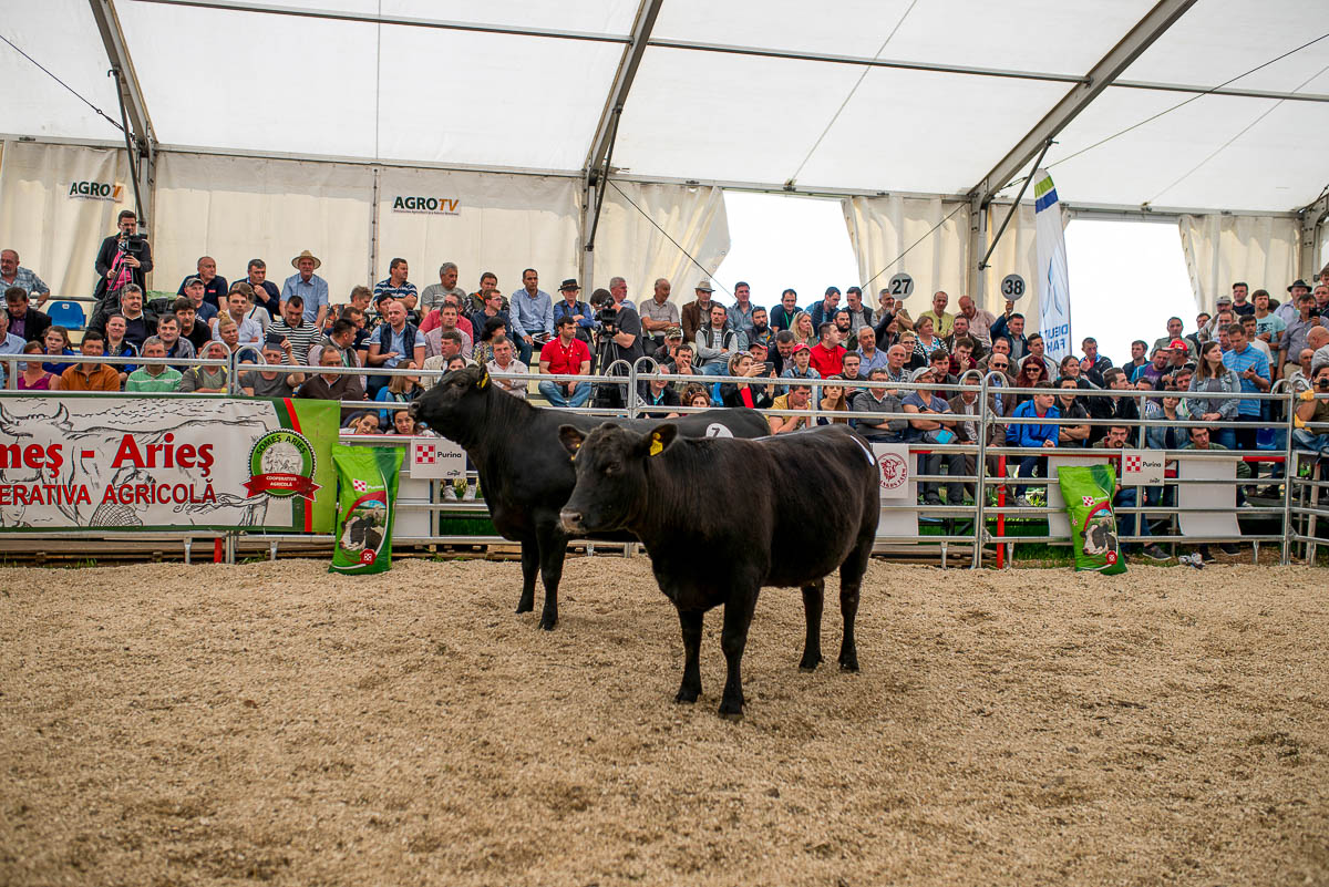 AGRARIA- Cea mai dinamică expoziţie agricolă a Transilvaniei I Jucu - Cluj